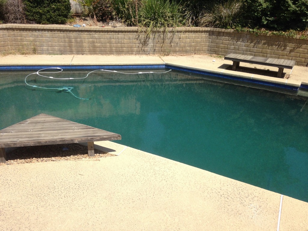 My Pool is a Swamp! – DVS Press